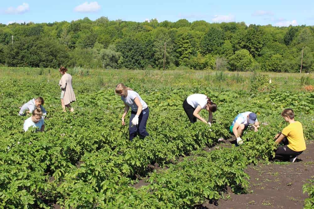 A New Ireland Blueprint Part III | Irish People