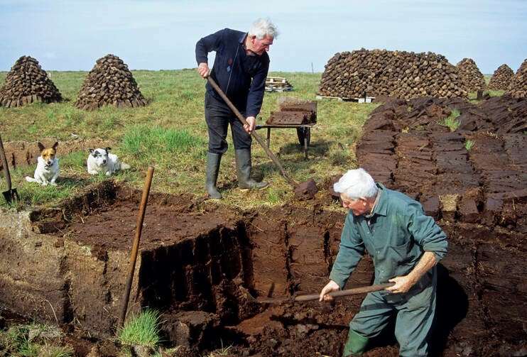 Turf is not a Fossil Fuel but a Living Growing Crop | Irish People