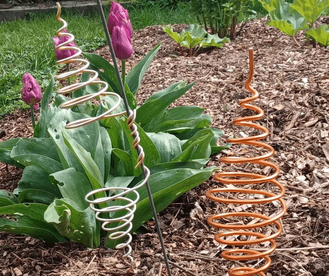 Electroculture | Irish People